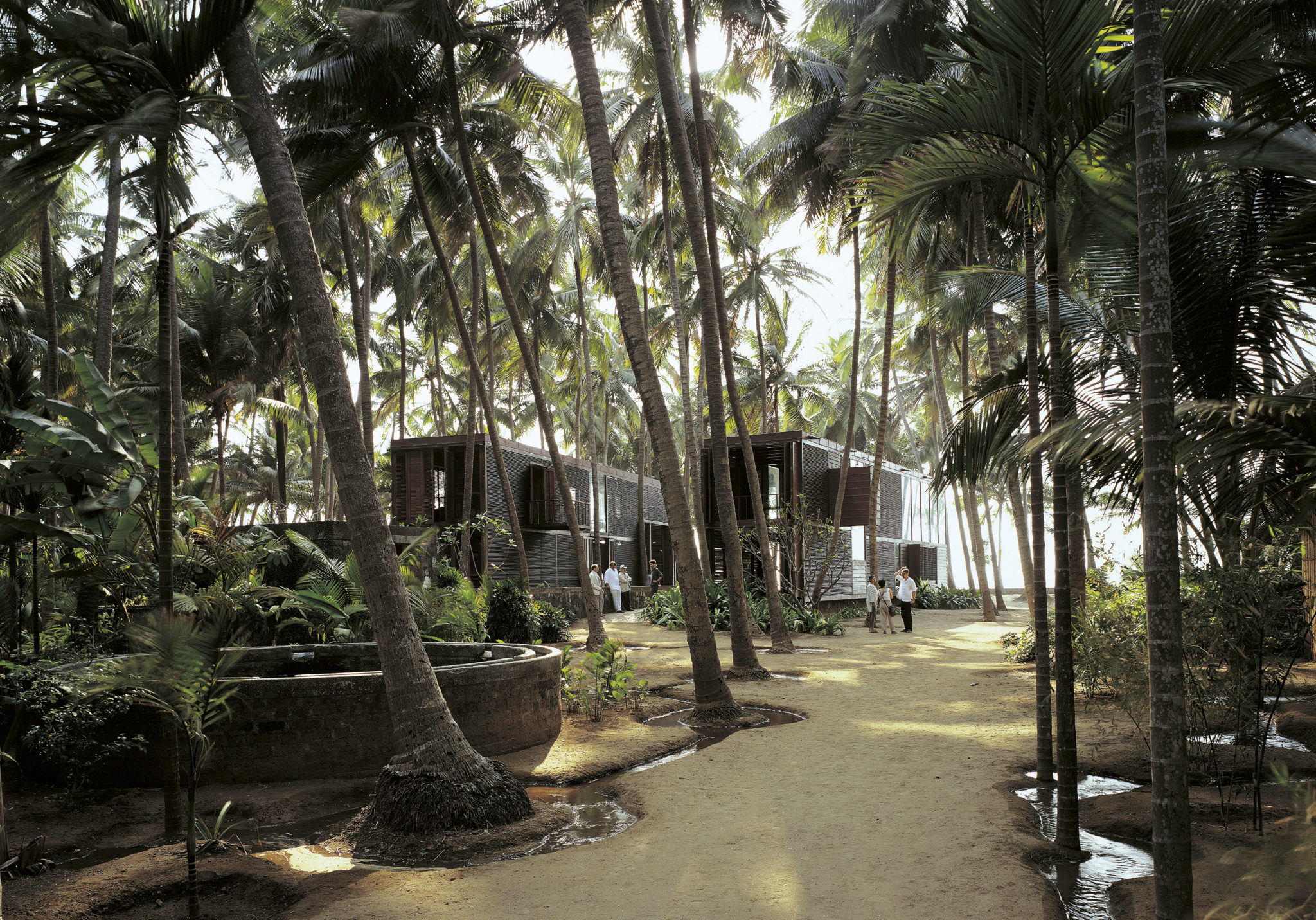 Interview with Bijoy Jain | ark