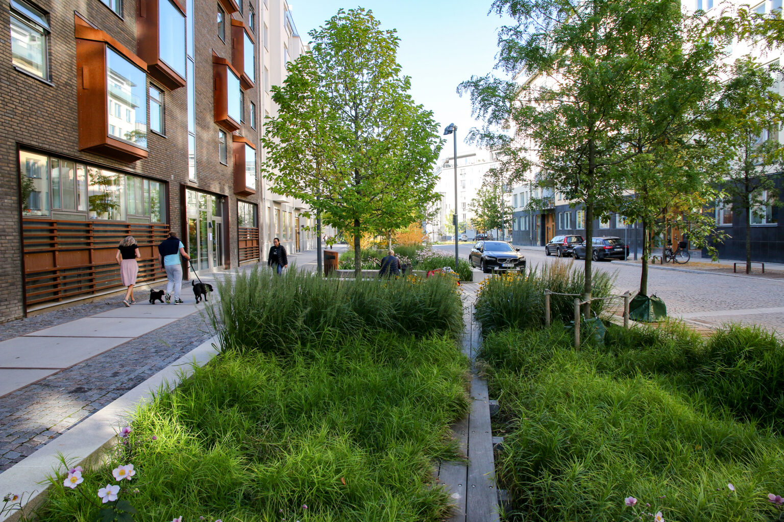 Urban Greenery as a Climate Action | ark